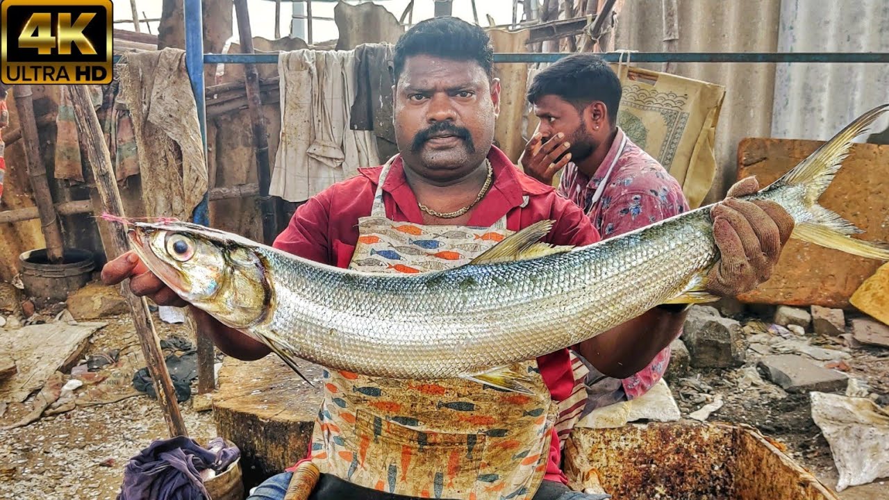 KASIMEDU 🔥 SPEED SELVAM | VERA RARE ALATHI FISH CUTTING | 4K VIDEO | IN ...