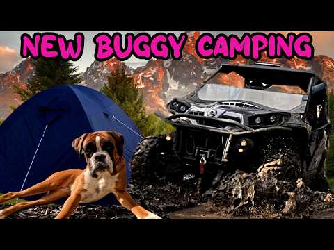 First Trip With My New Can-Am – Spring Camping in the Mountains, Dogs & Wild Animals 🏔️🐕‍🦺