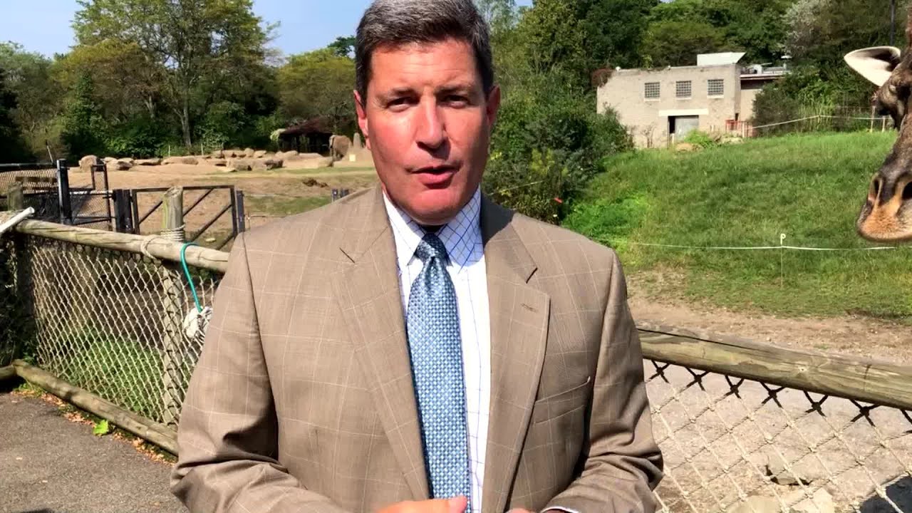 Reporter Update: Rick Dayton - Lion King Actors Meet Real Giraffes ...