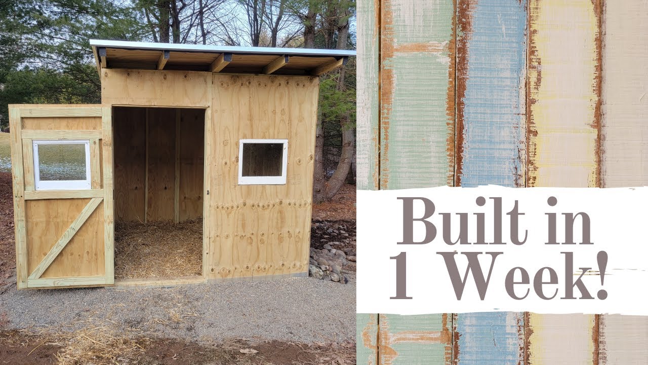 How to Build a Goat Shed (in 1 Week!) - YouTube