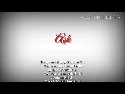 En Güzel Aşk Şiirleri / Cemal Süreya - Aşk (2018)