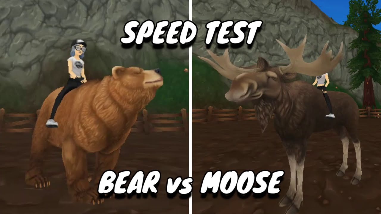 Speed Test, Bear vs Moose - YouTube