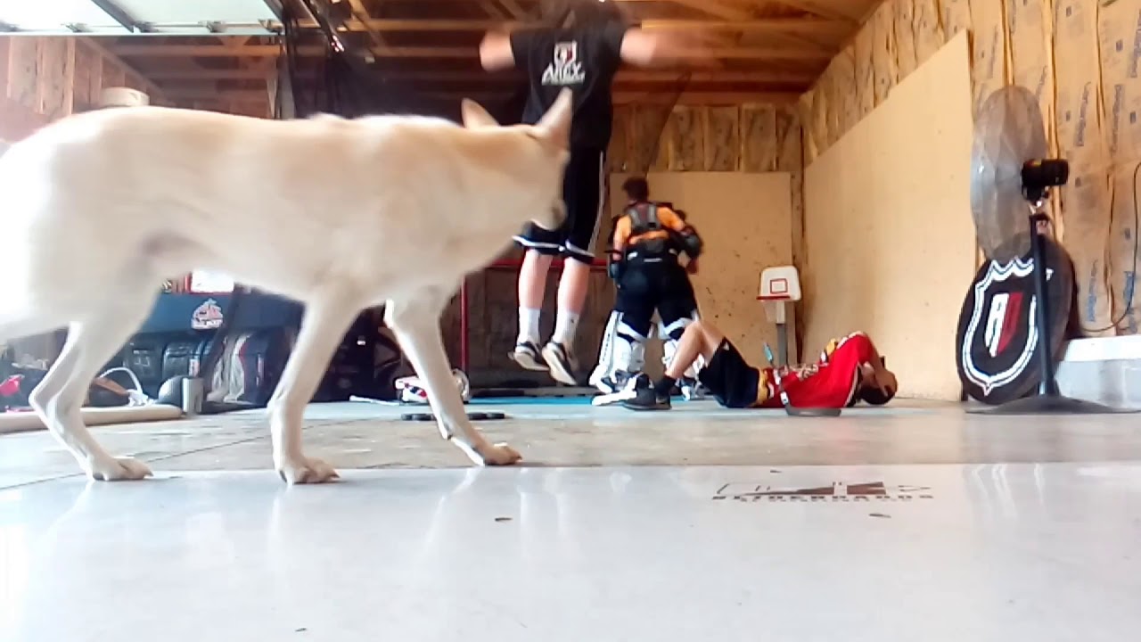 ADHD Arcy Cup Round 1(WASH VS FLA) - YouTube