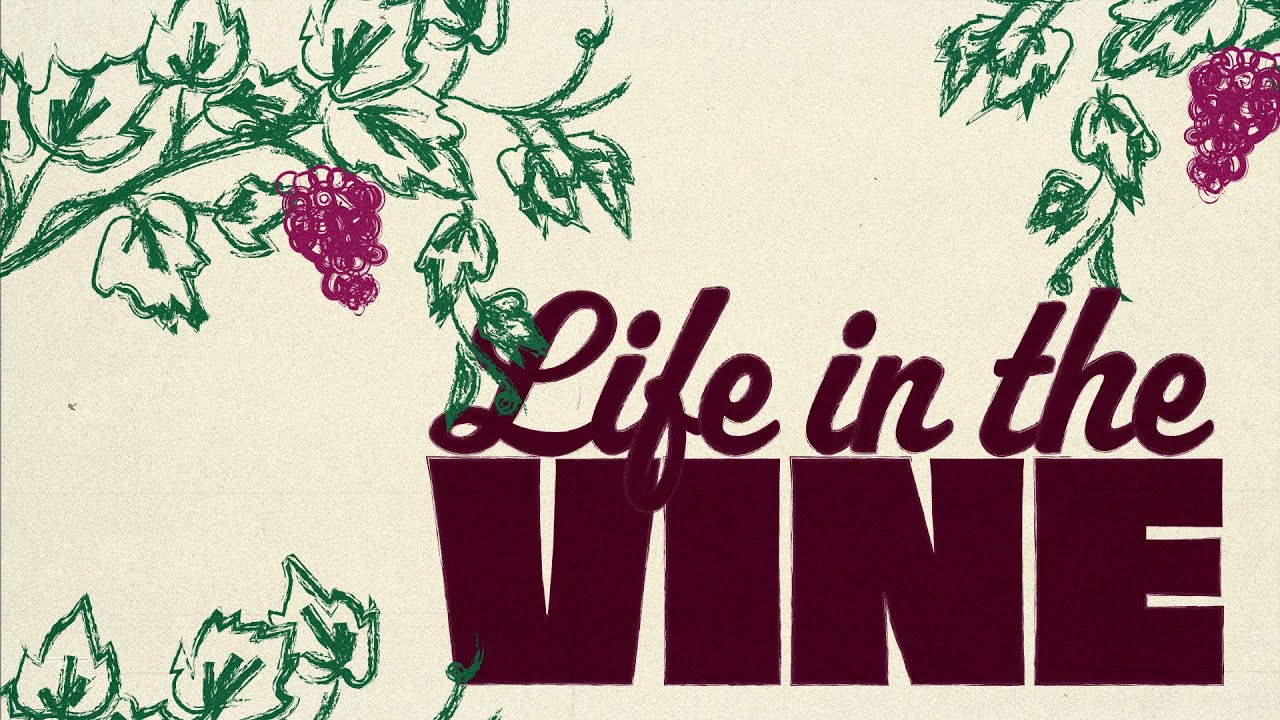 Redeemer Church | 9-28-2025 | Life in the Vine - YouTube