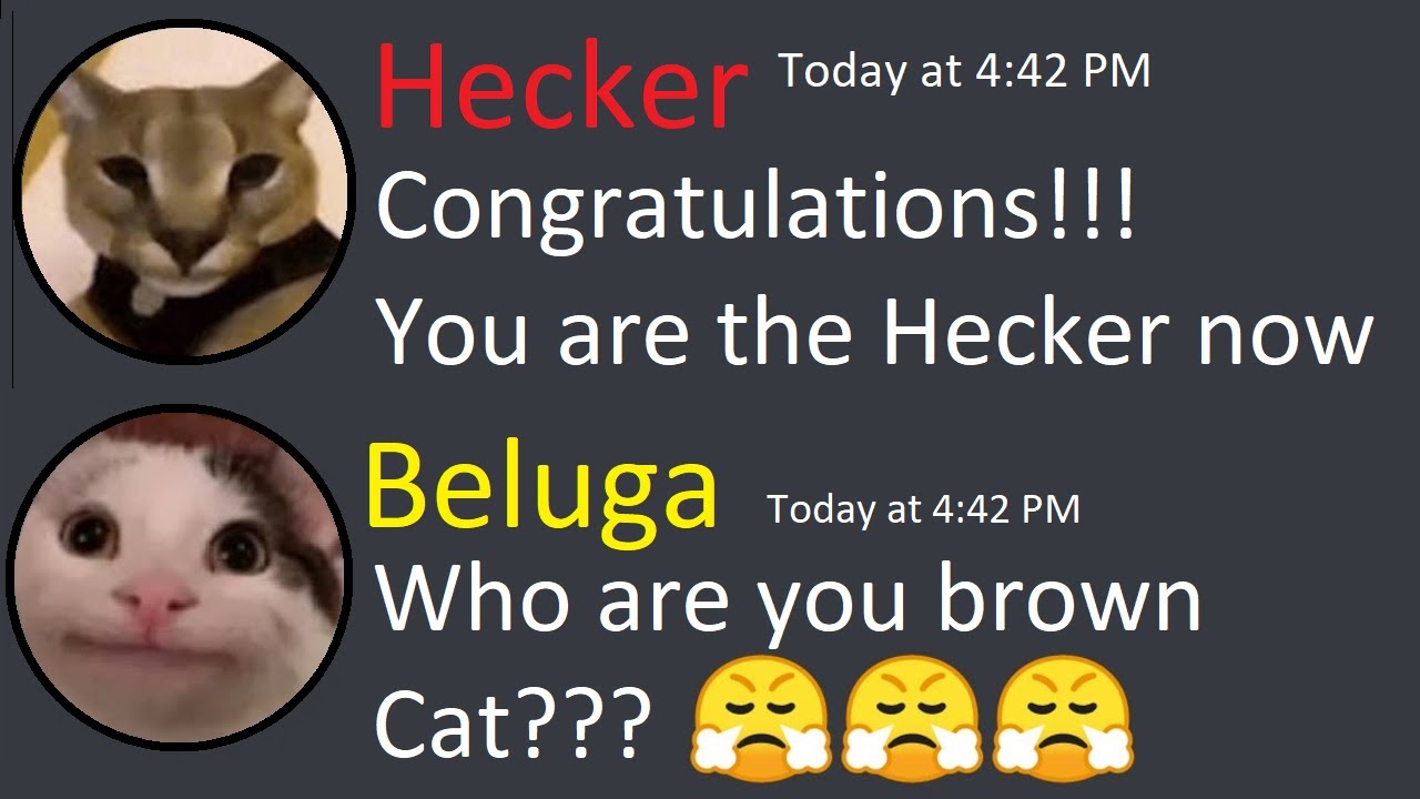 When Beluga Becomes a Hecker... - YouTube