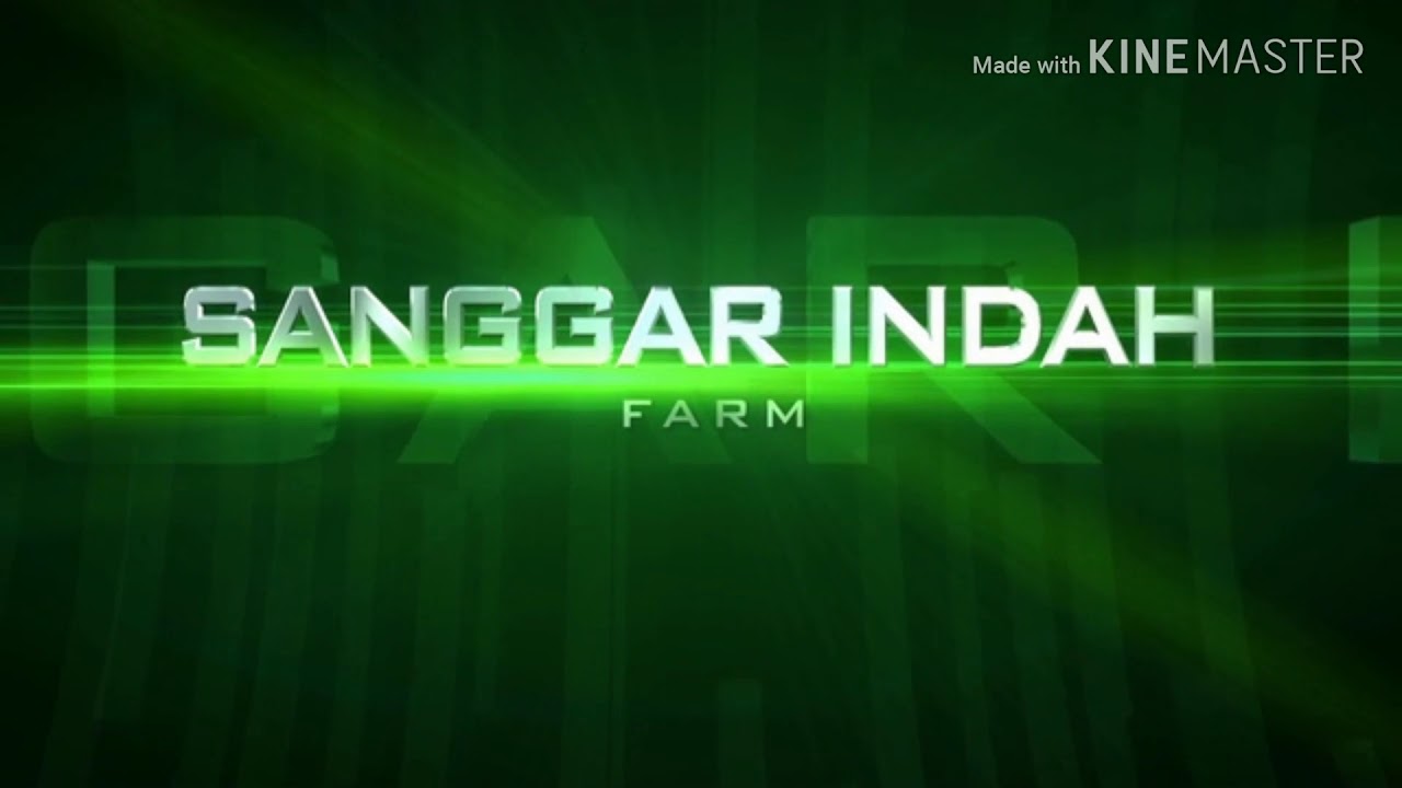 Anggur BOGEMA - YouTube