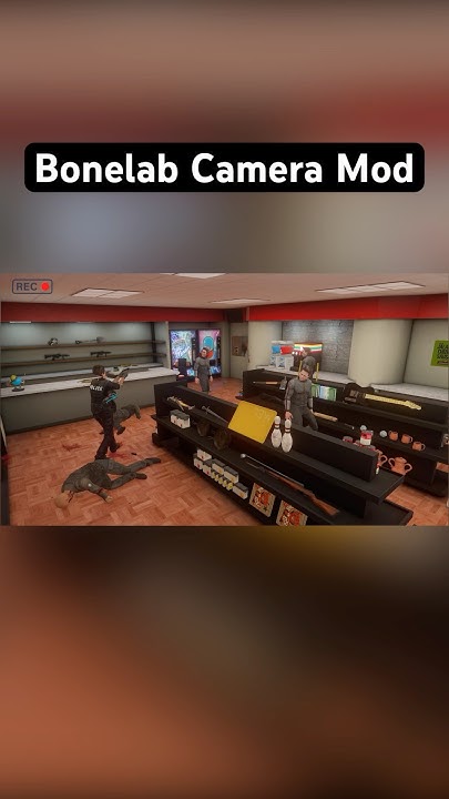 This mod make Bonelab Realistic - YouTube