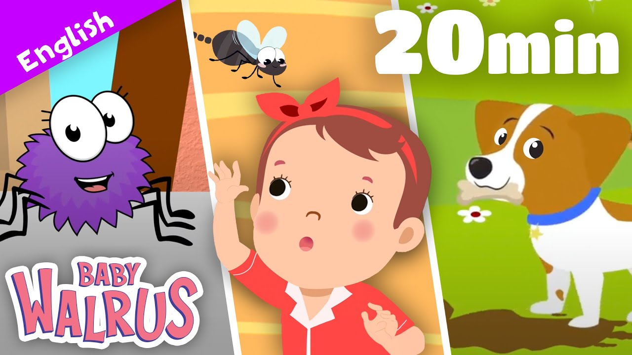 Singing and Dancing with Animals! | Baby Walrus World 🎶 - YouTube