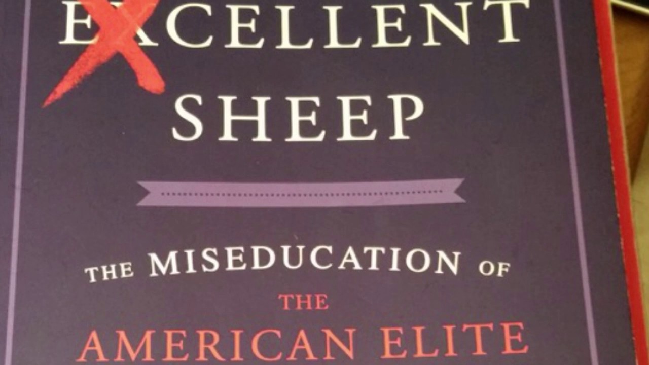 Shaun Sager book Review "Excellent Sheep" - YouTube