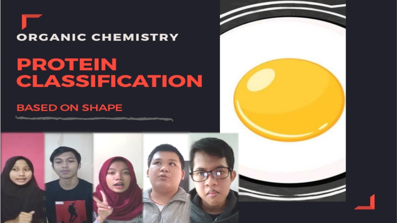 12-4 - Protein Classification Based on Shape - YouTube