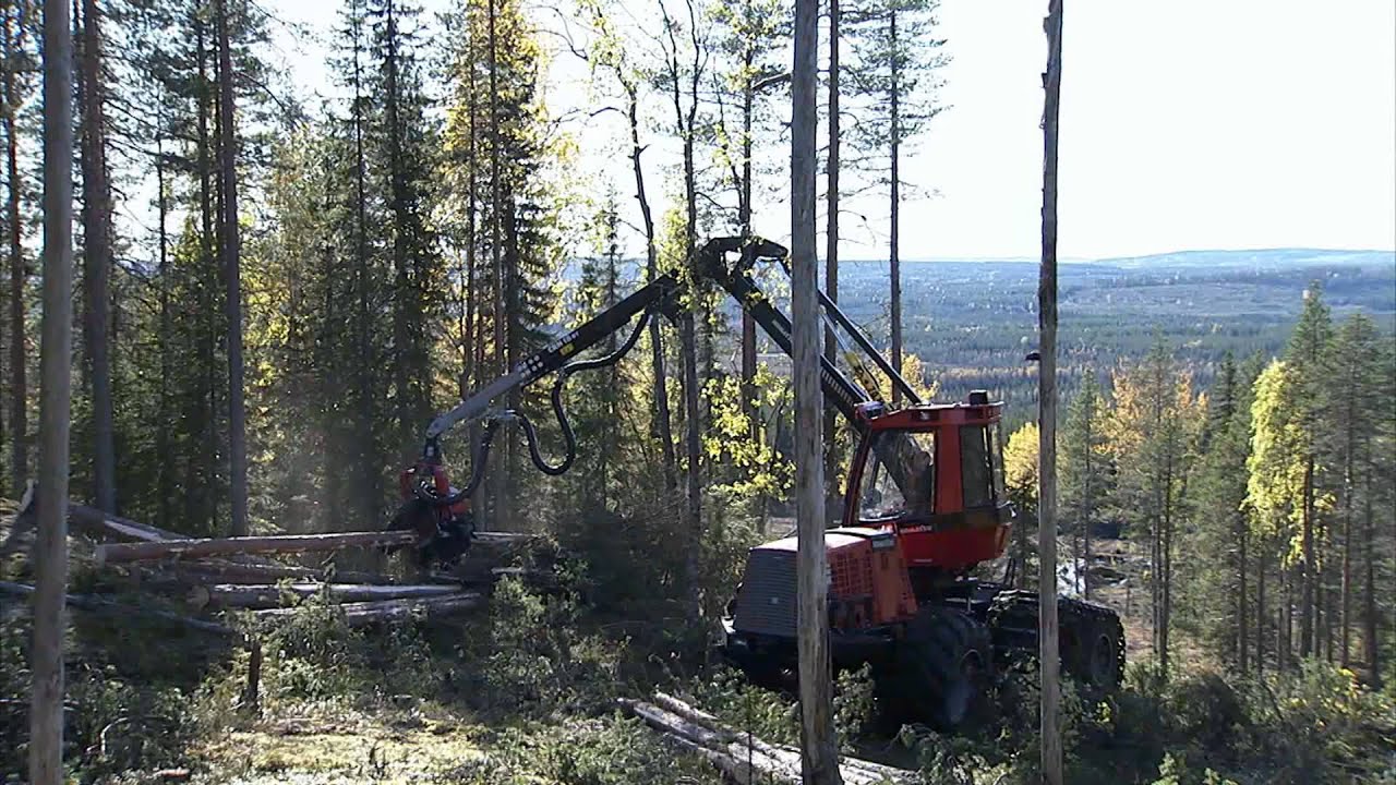 Komatsu Forest Company Presentation 2012.wmv - YouTube