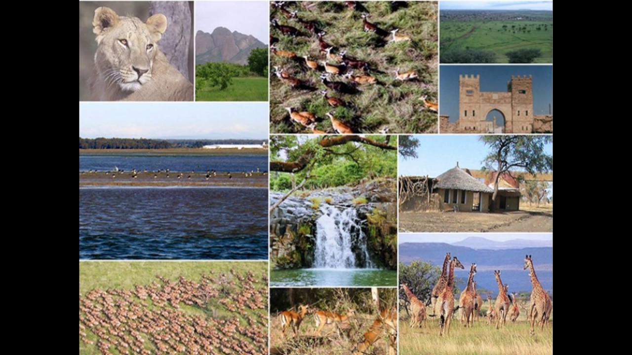 Dinder National Park - Sudan - YouTube