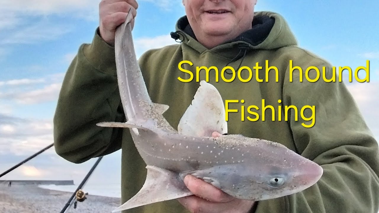 Beach fishing for smooth hounds, fishing a popular wicklow beach - YouTube