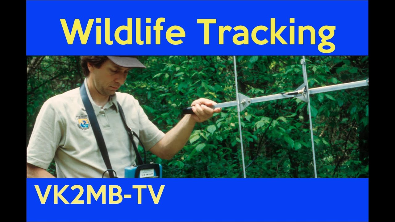Wildlife Tracking - Clare McArthur and Cathy Herbert, University of ...