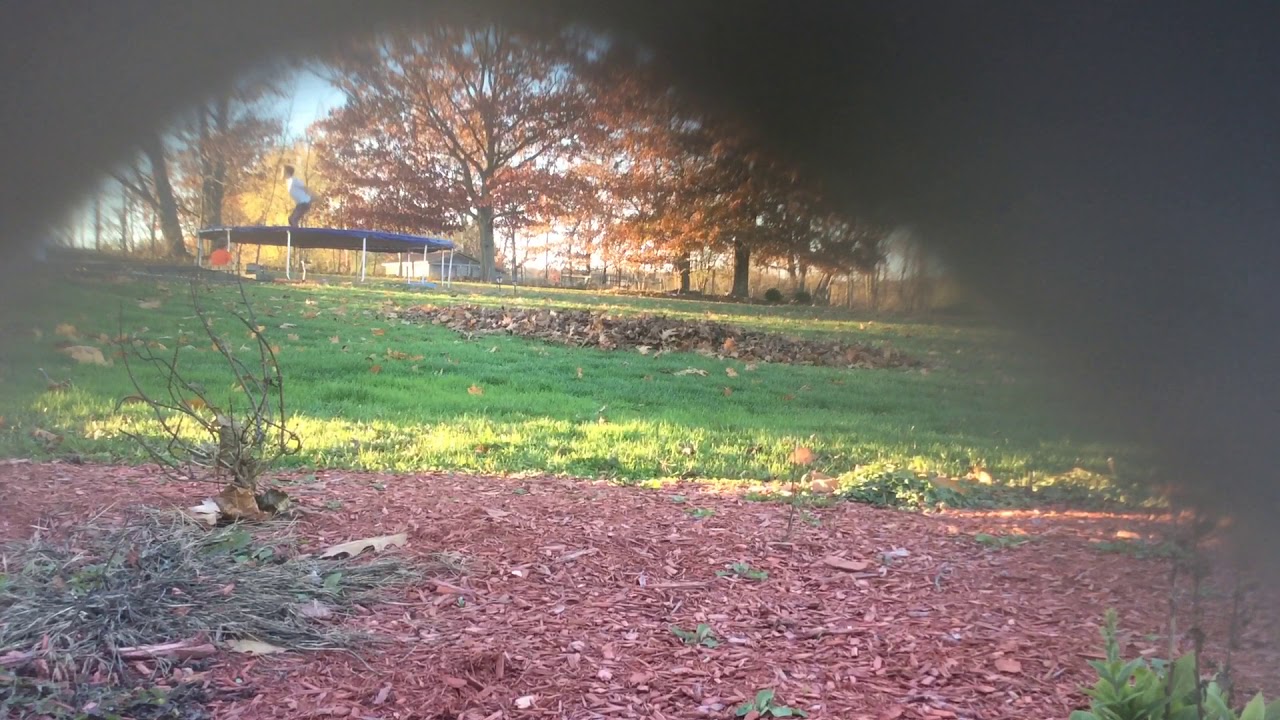 Practicing (Back Tucks, Back layouts, and Back layout stepouts) - YouTube