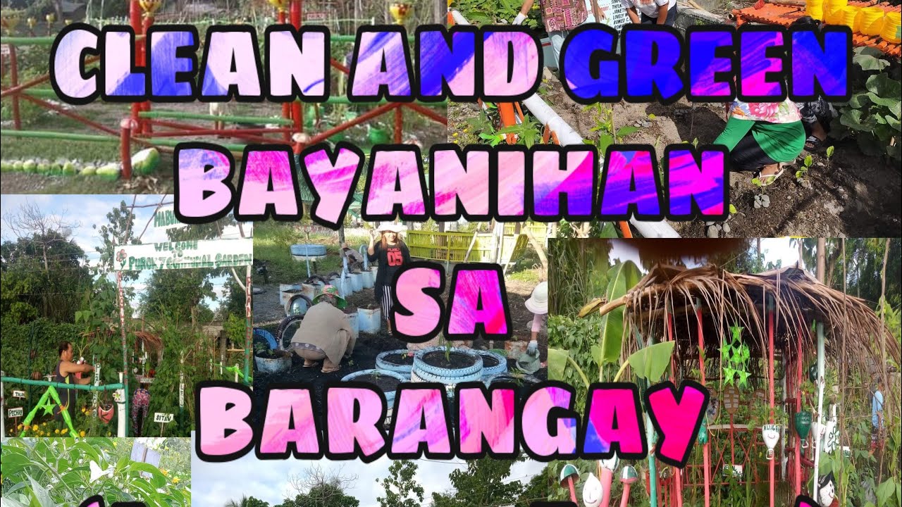 How our barangay do the (CLEAN AND GREEN BAYANIHAN) support each other ...