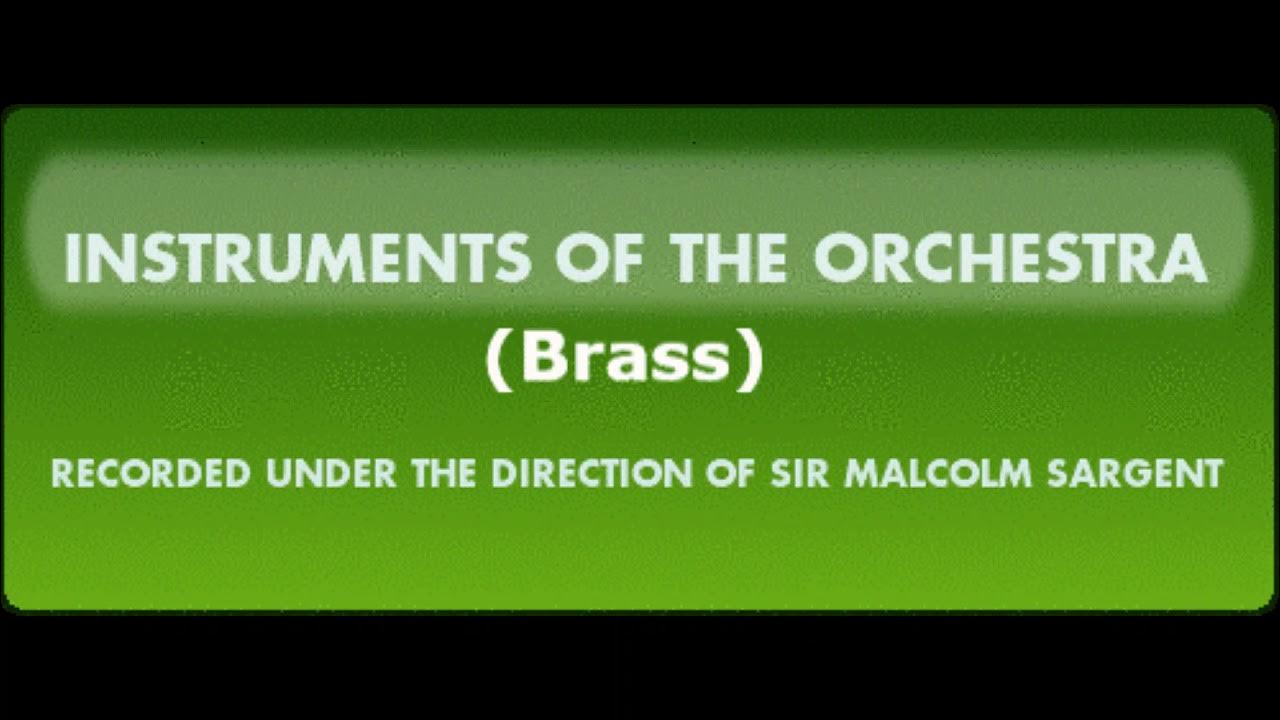 INSTRUMENTS OF THE ORCHESTRA (Brass) - YouTube
