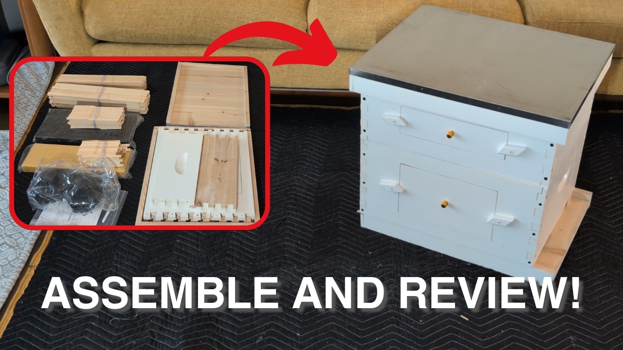 Assembling and reviewing a hive kit from Beetech - YouTube