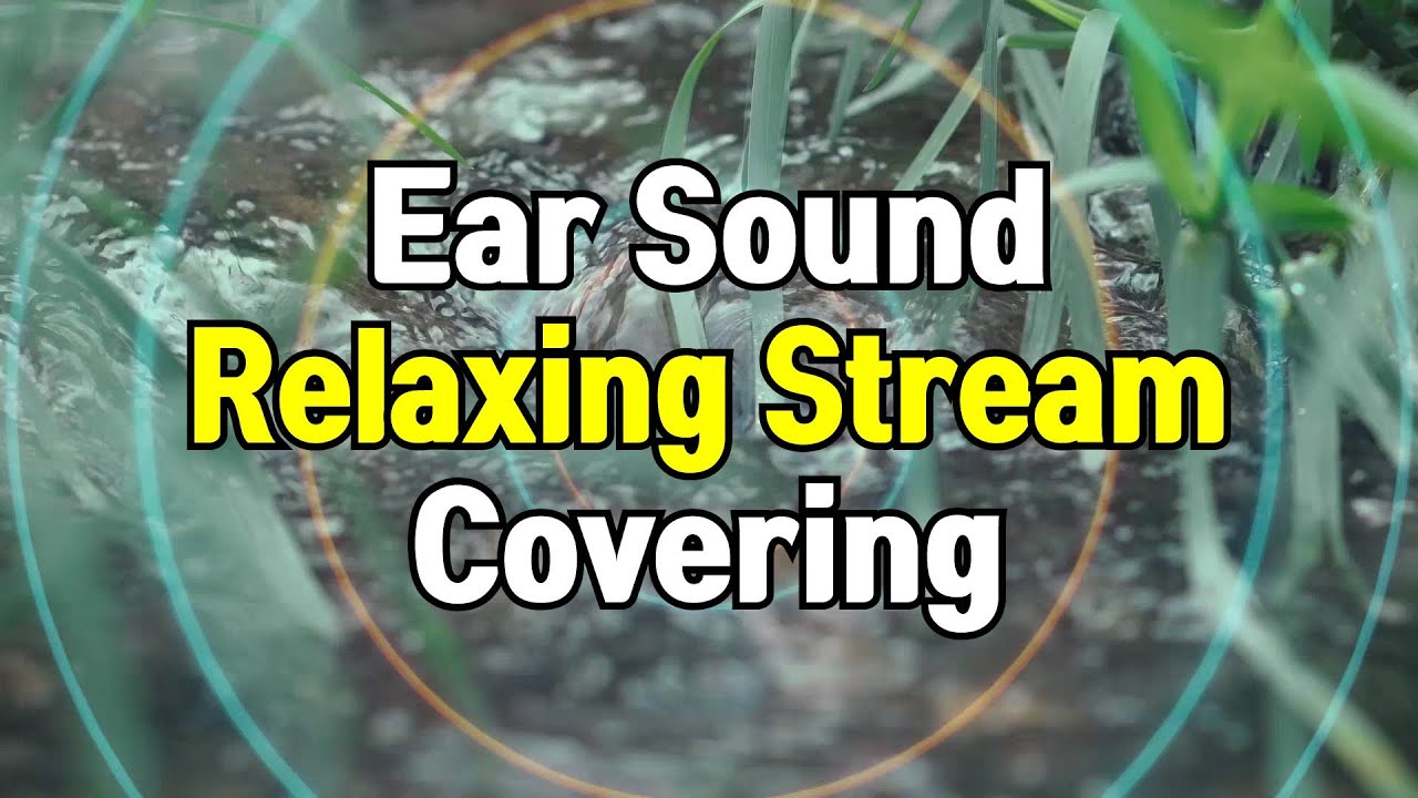 Tinnitus - Relaxing Stream Sound, White Noise, Ringing - YouTube