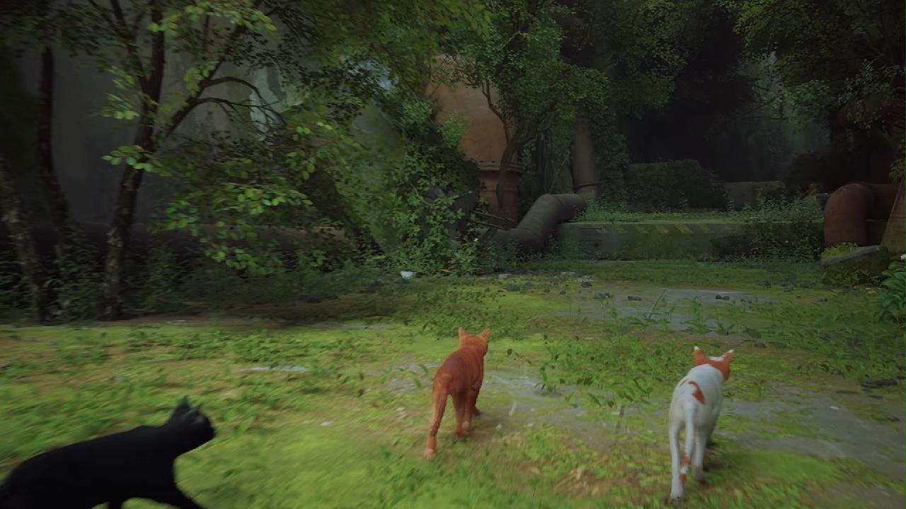 Stray PS5 Gameplay 4K HDR part 1 - YouTube