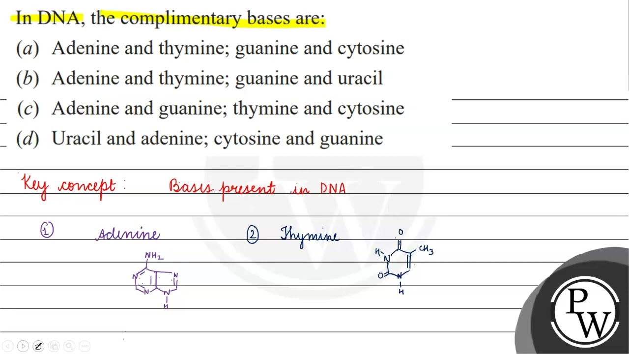 Adenine Thymine Guanine Cytosine Uracil