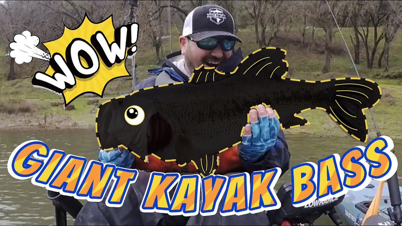 GIANT LARGEMOUTH BASS caught on Kayak | Kayak Fishing Bass Fishing 2019 ...