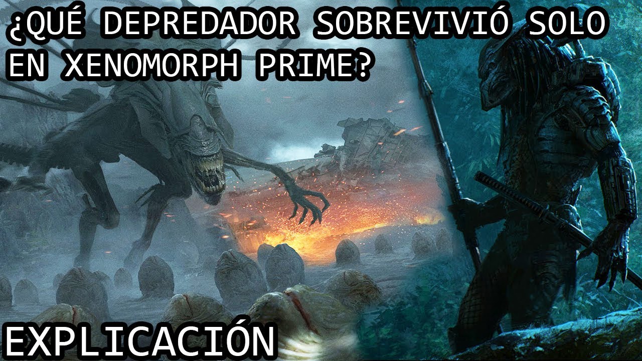 ¿Qué Depredador Sobrevivió solo en Xenomorph Prime? EXPLICACIÓN | El ...