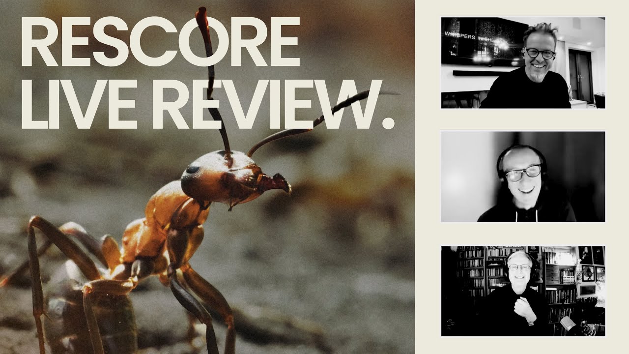 YOUR Score Reviewed! 'The Insect Kingdom' Scores with Leeds ...