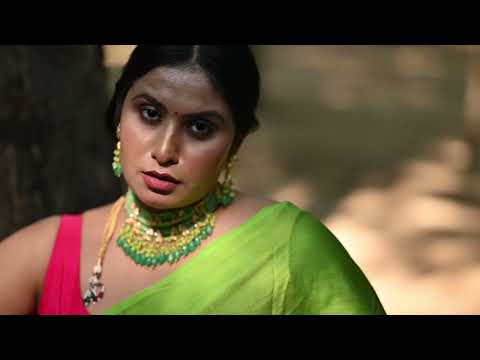 Saree Diva Renu Priyenk Parrot Saree