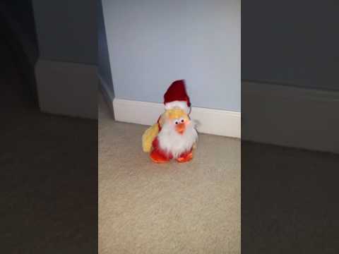 Dandee singing dancing Chicken - YouTube
