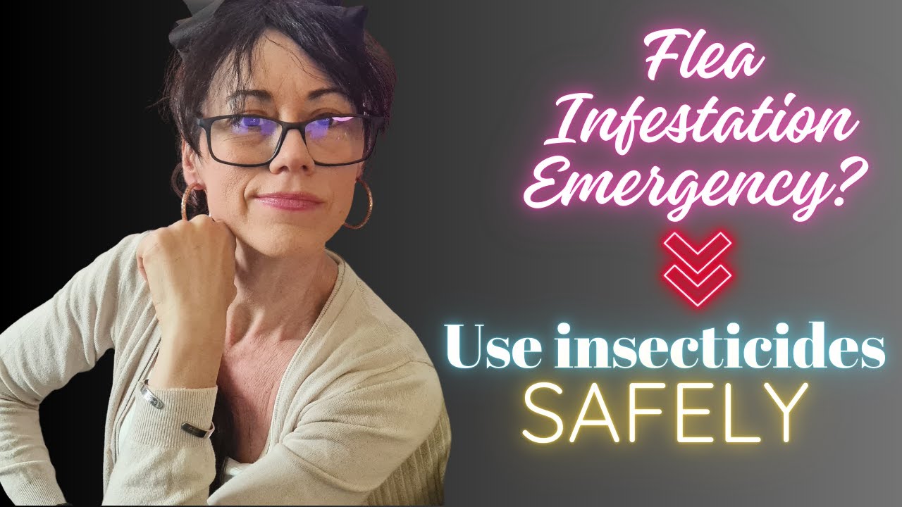 Flea Infestation? Time to use traditional means (the safe way!) - YouTube
