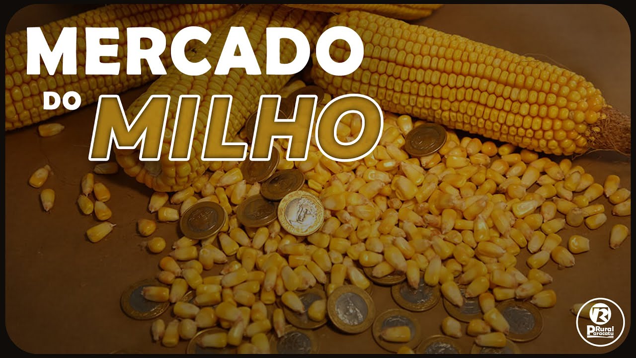 Vendas de MILHO americano ficam 49% abaixo da média das quatro semanas ...