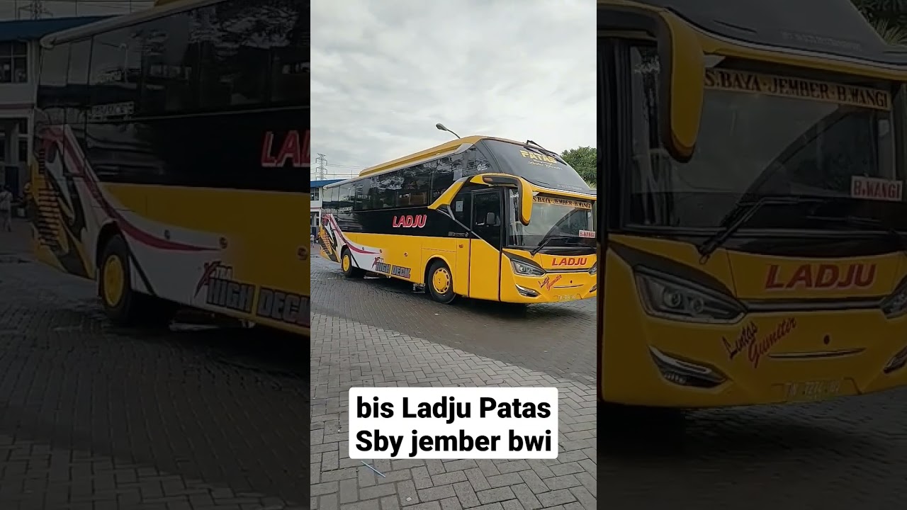 Detik-detik Keberangkatan Bis Ladju Patas Surabaya Jember Banyuwangi ...