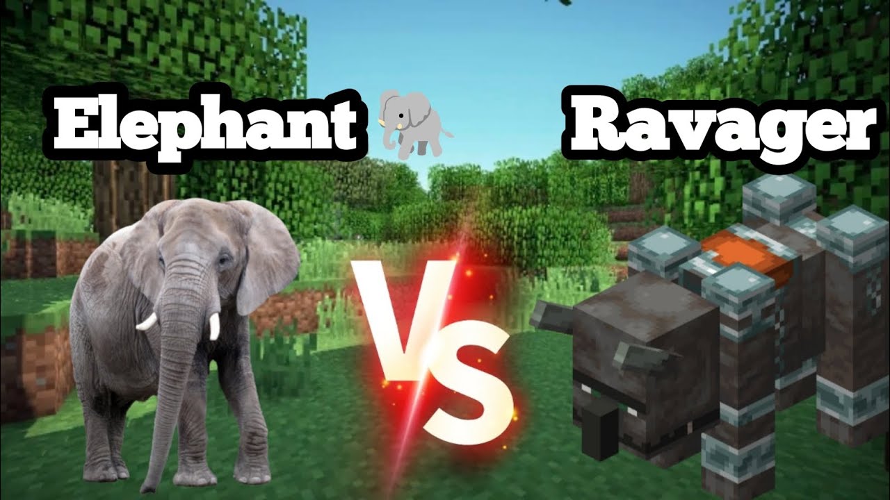 Elephant Vs Ravager Who Will won || Minecraft Mob battle - YouTube