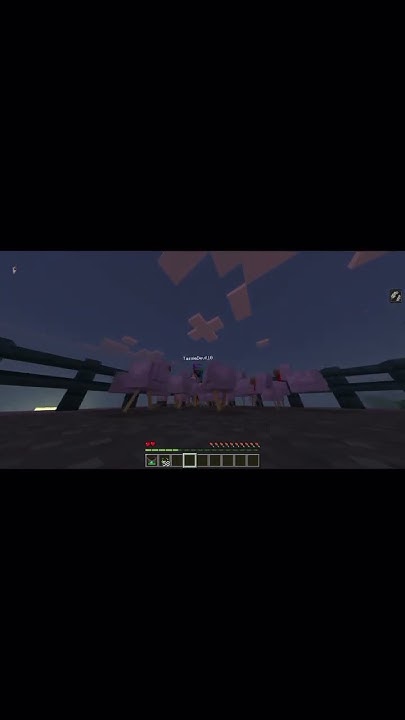 Morph Hide n Seek!!! - YouTube