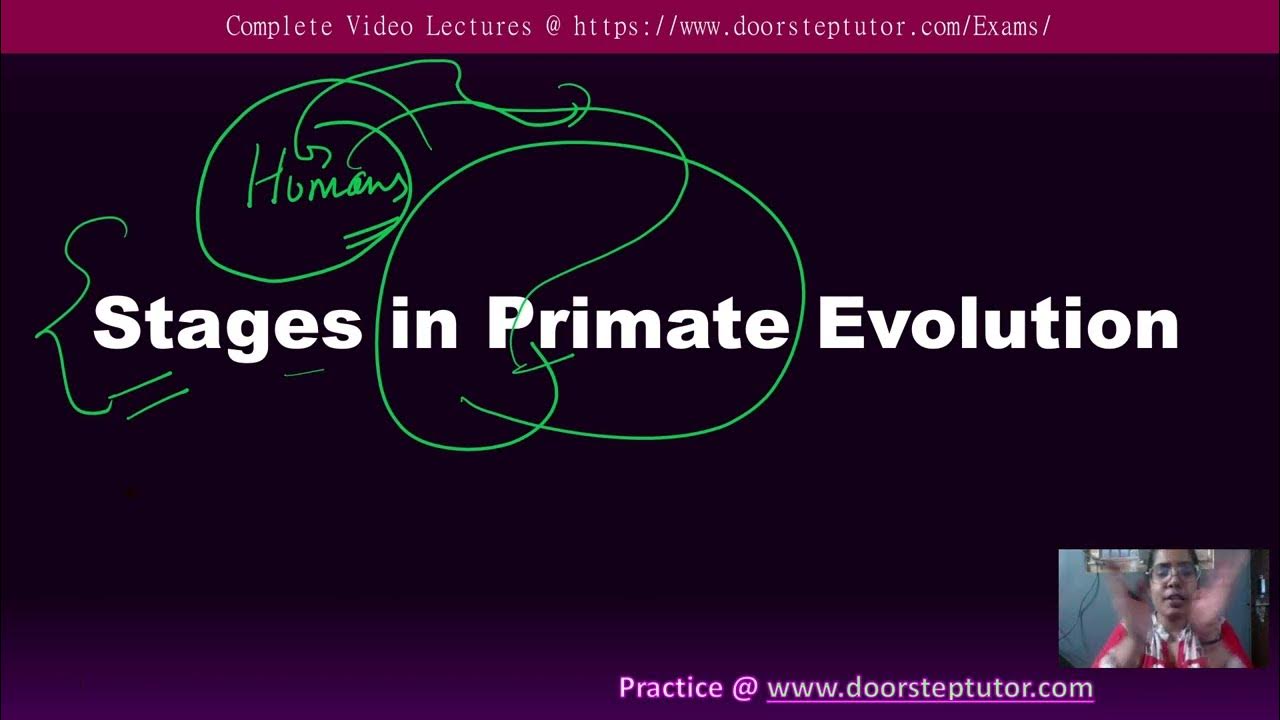 Stages in Primate Evolution | NEET UG Biology - Complete lectures ...