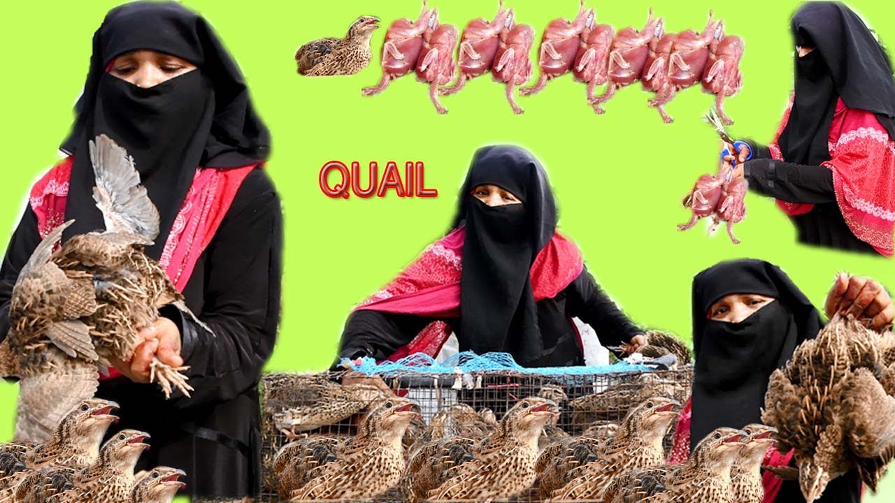 Amazing QUAIL Bird cutting skills by muslim lady||Kouju pitta cutting ...
