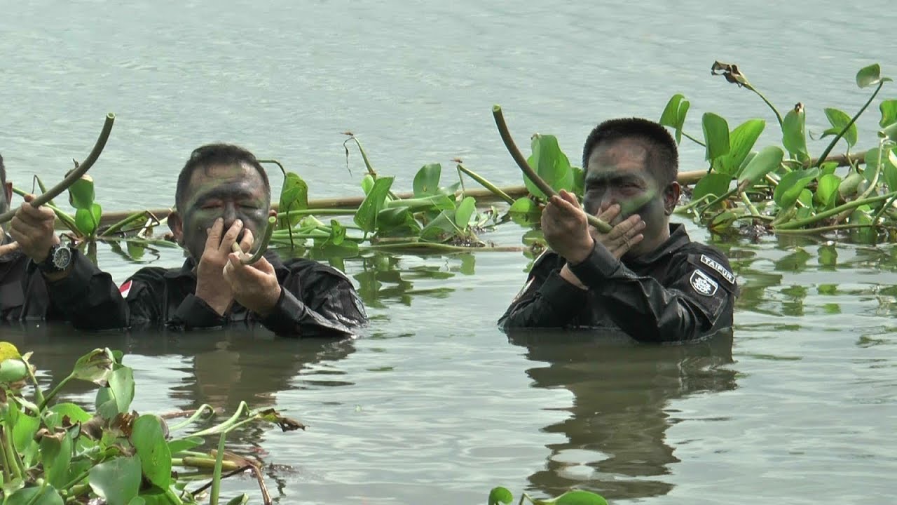 upacara penutupan Latihan pembentukan taipur 7 - YouTube