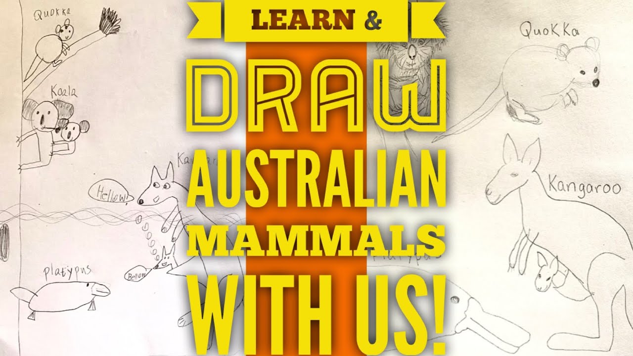 Learn Facts & How to Draw Australian Mammals - YouTube