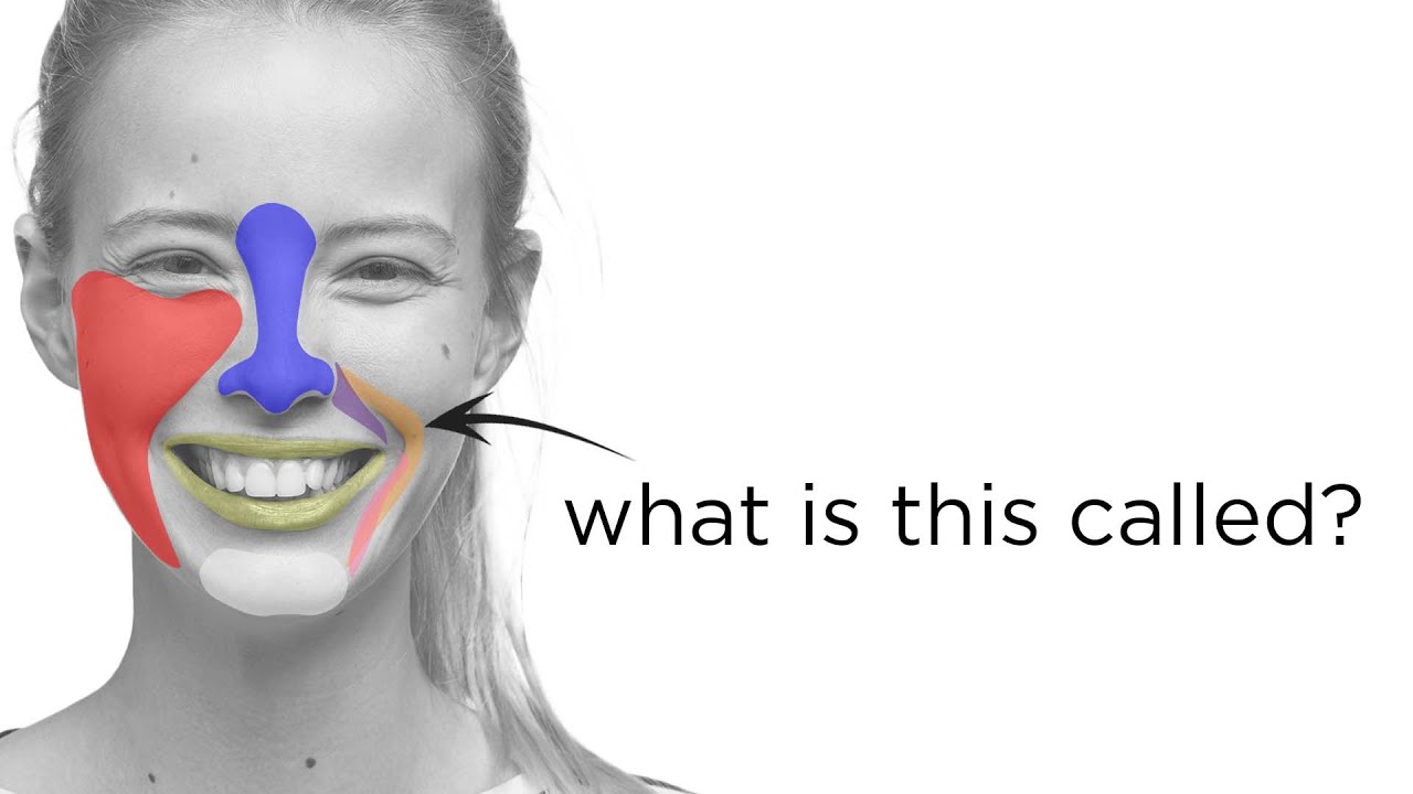 Glossary of facial shadows | Newport Beach Plastic Surgeon explains ...