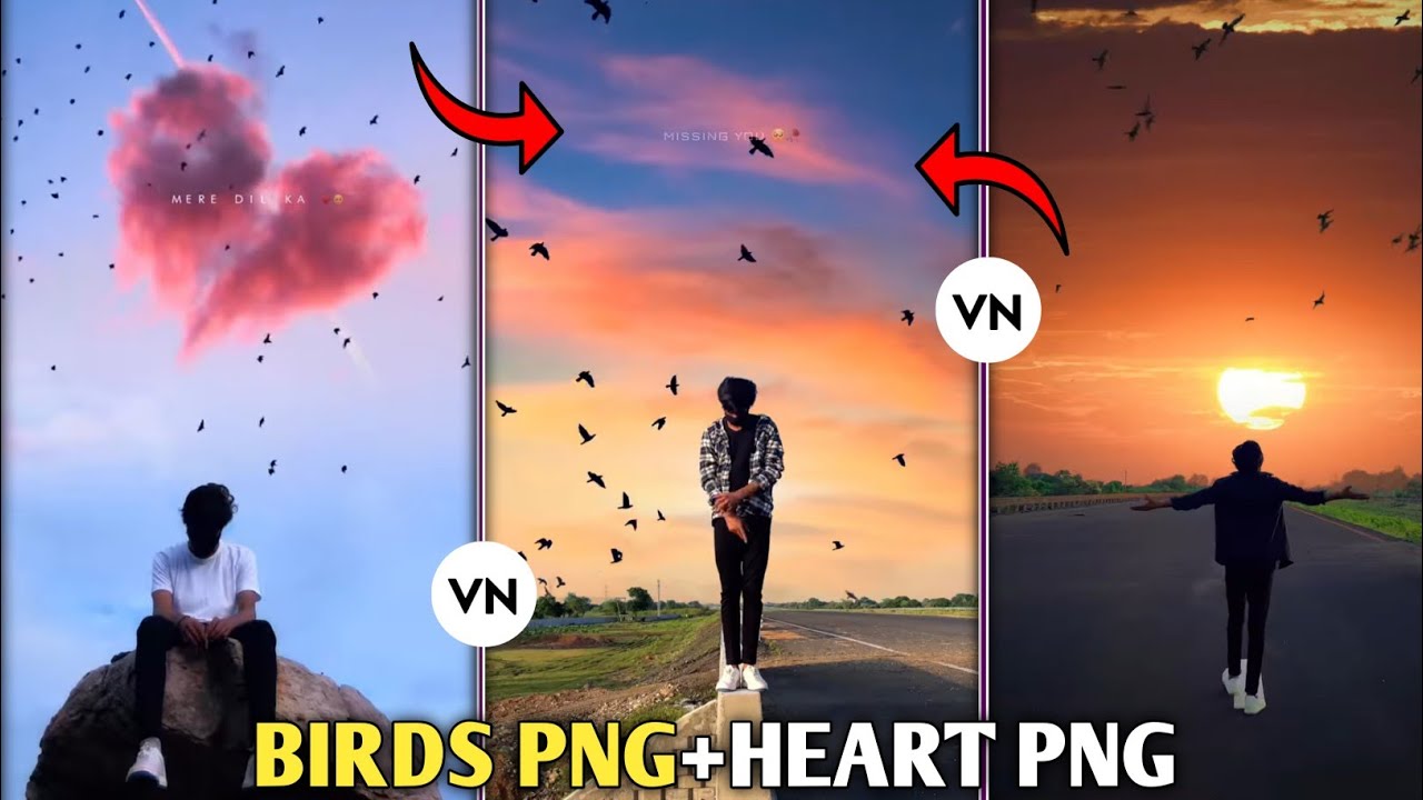 How to edit viral birds png video editing😱🔥। Birds png। trending reels ...
