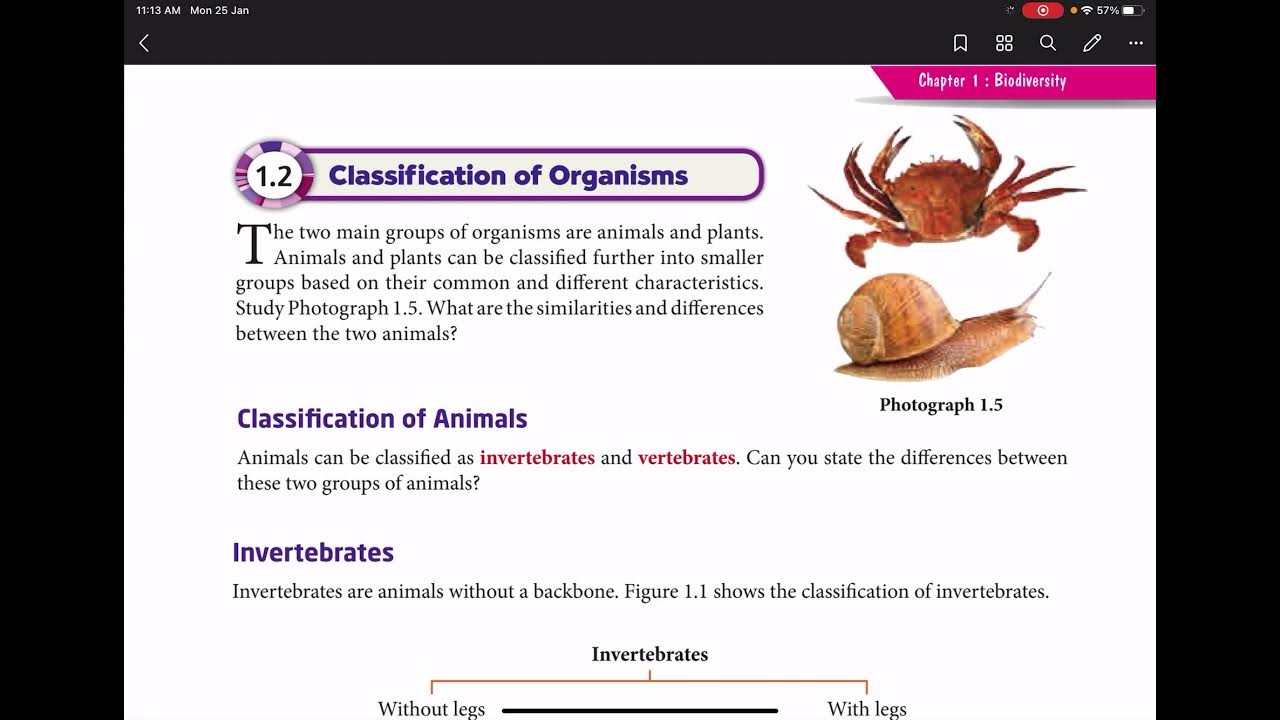 Science form 2 Chapter 1 - YouTube