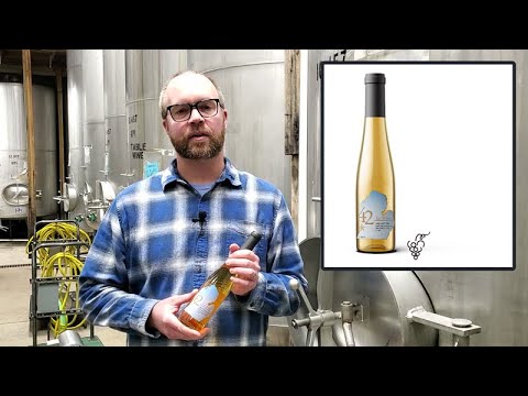 How Ice Wine is made? - YouTube