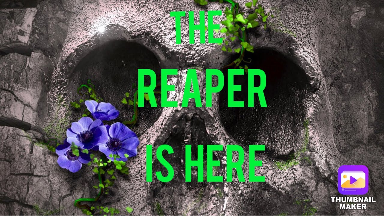 The Reaper is here! - YouTube