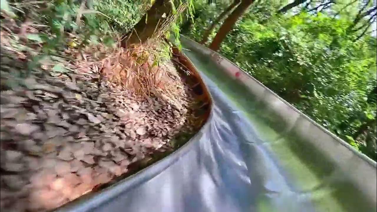 保持对生活的爱和热枕 要把每一天活的热气腾腾 Youtube