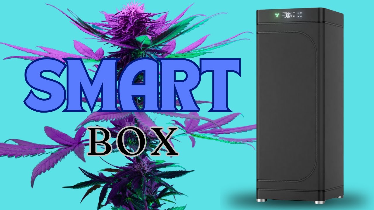 Starting to Grow in a SMART BOX! - YouTube