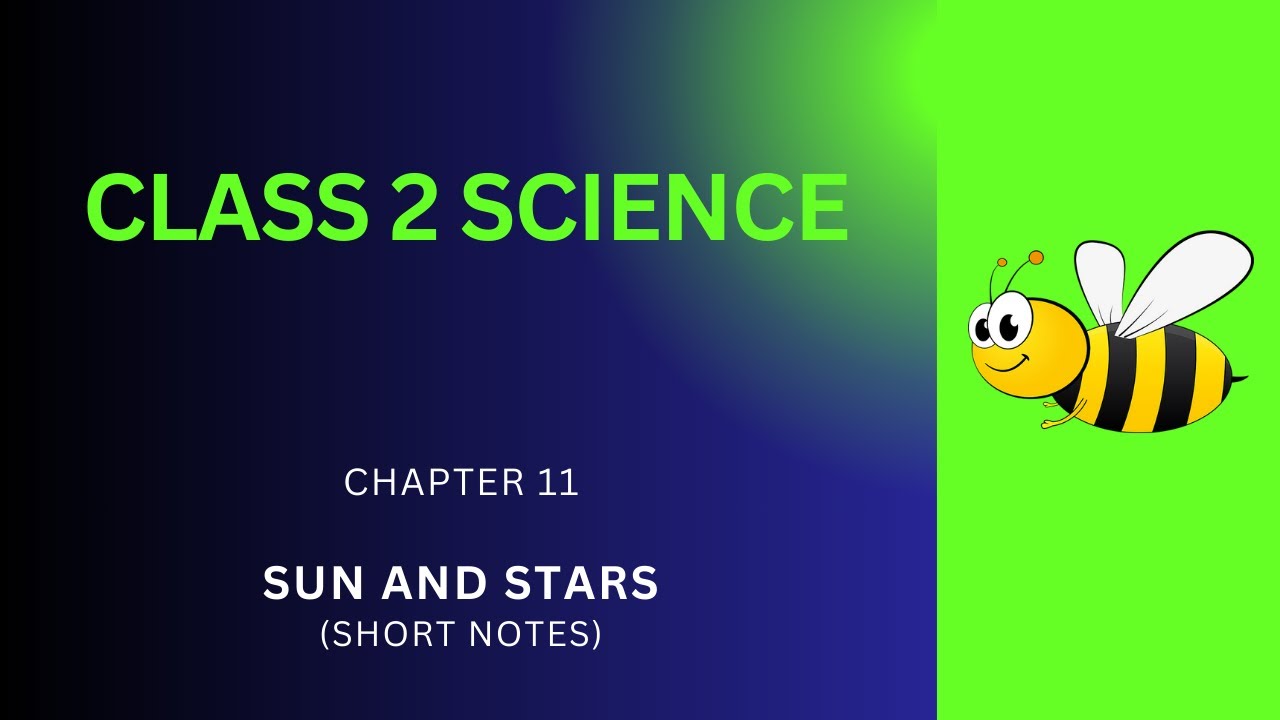 Grade 2 Science Notes | Sun Stars Ch 11 Short Notes PDF | Class 2 ...
