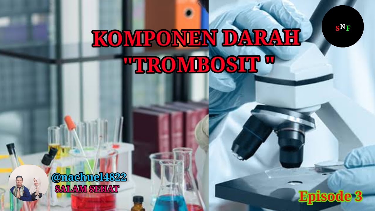Pentingnya kadar Komponen darah Trombosit. - YouTube