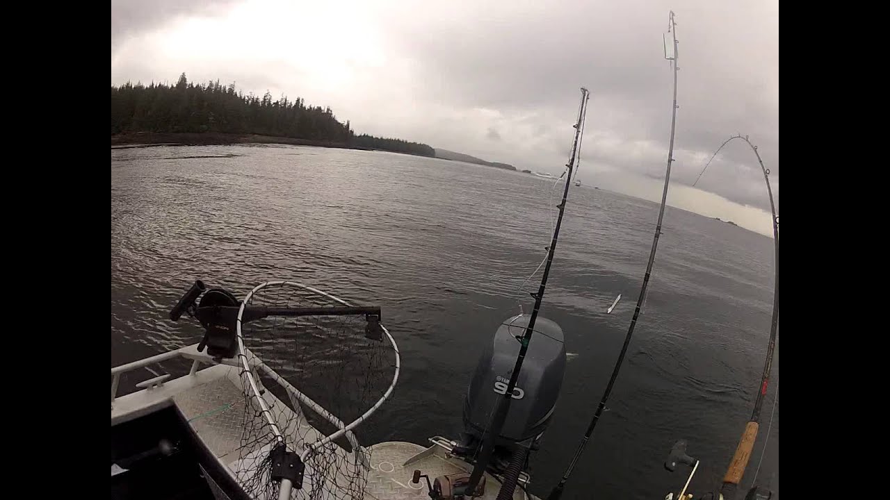 Catching a Chinook Salmon, Clover Pass, Alaska. - YouTube