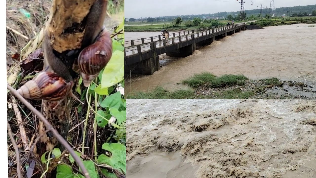 ||Triyuga river is fully loded with water due to heavy rain🤨#like # ...